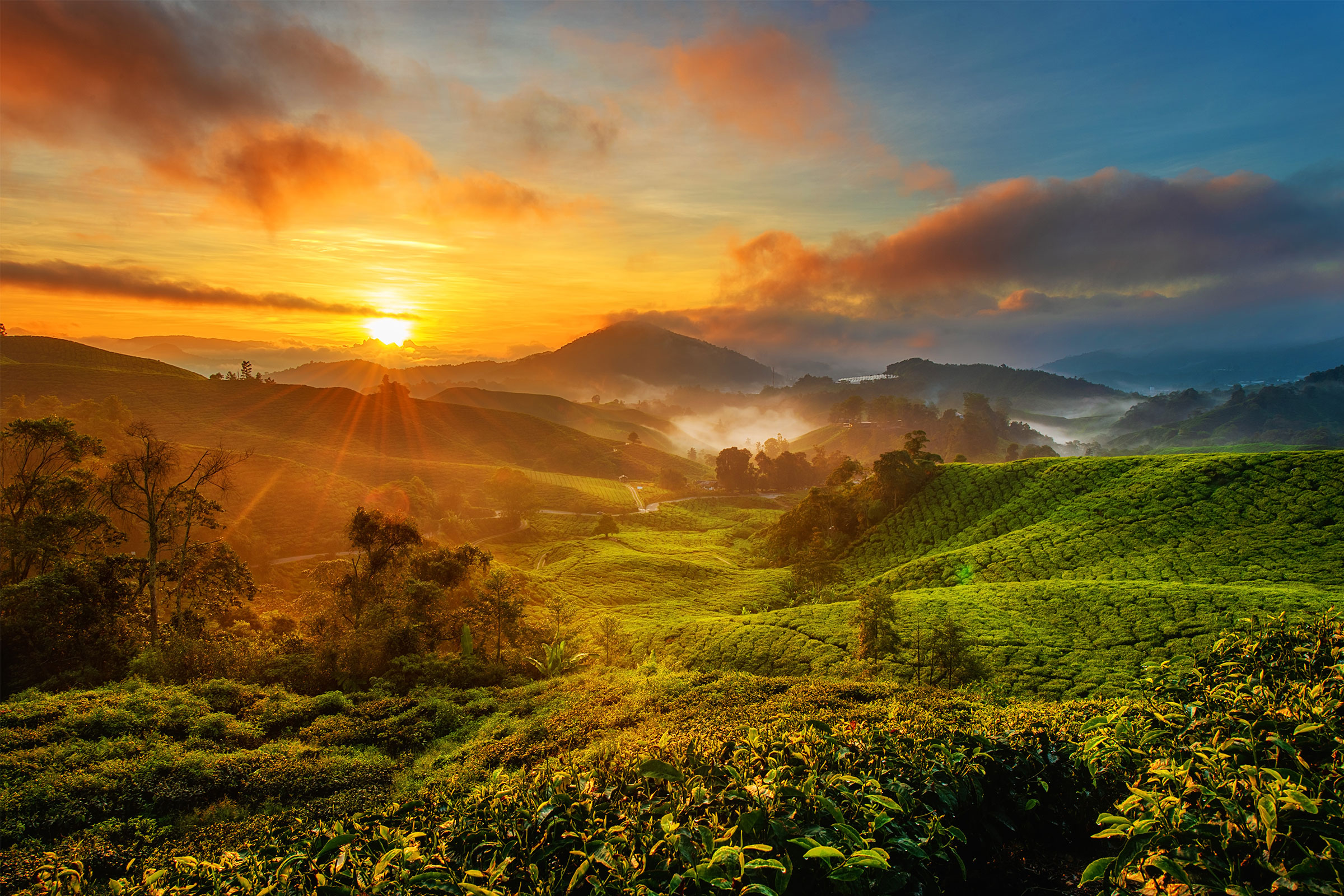 Malaysia | Association Montessori Internationale