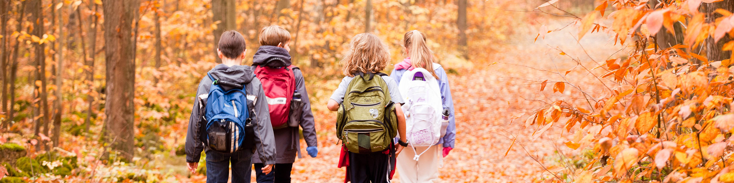 Montessori Outdoor Spaces | Association Montessori Internationale